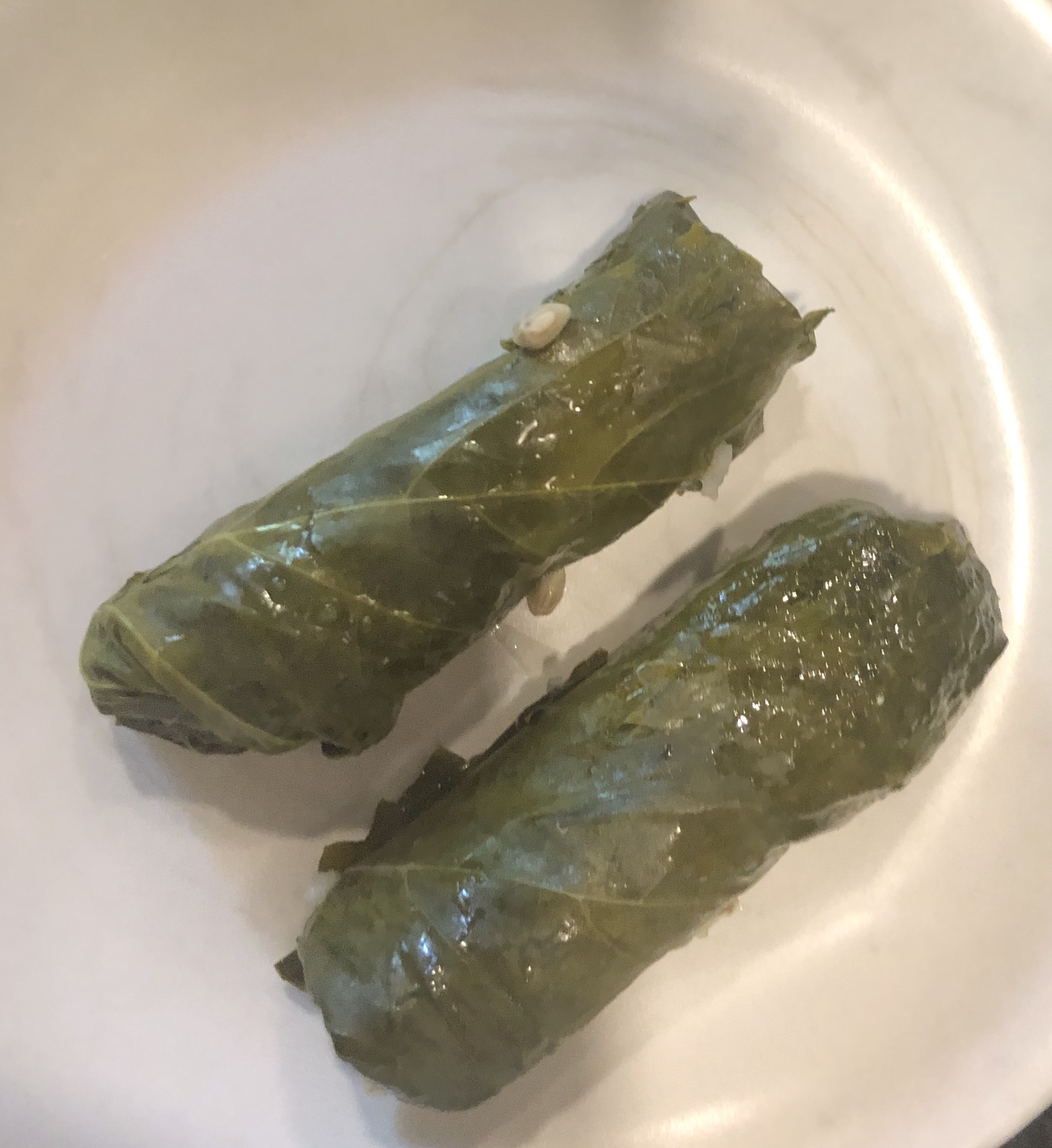 Stuffed Grape Leaves (Dolmas) – Dan's Food Blog